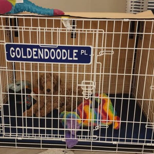 Goldendoodle, Goldendoodle Lover, Goldendoodle Sign, Custom Street Sign ...