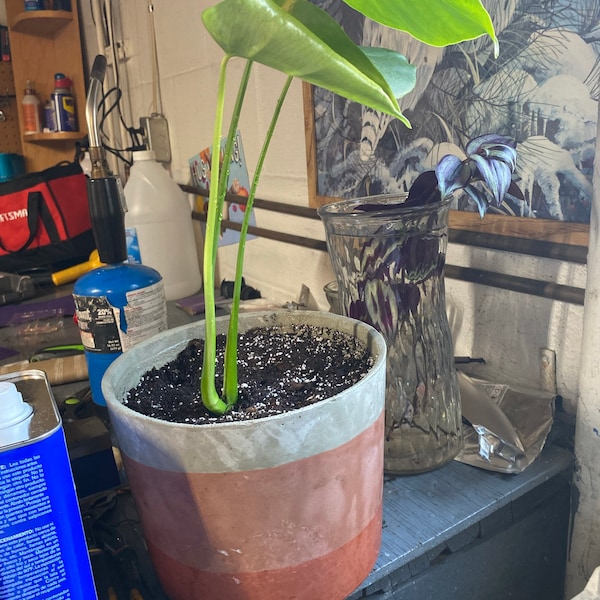 8 Inch Pot - Pink Pot - Pink Planter - Large Planter - Planter Pot ...