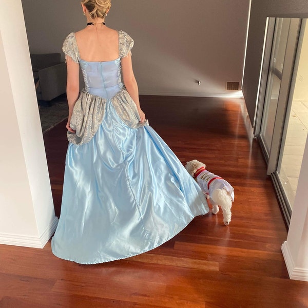 Prince Charming Dog Costume, Prince Charming Dog Outfit, Prince Dog ...