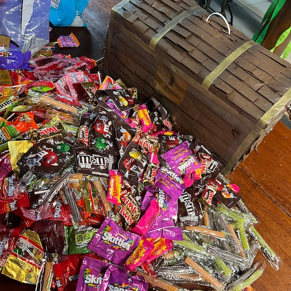 Chattermax Piñata - Bluey Birthday Pinata - Etsy