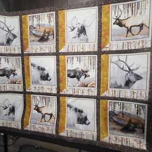 PDF QUILT PATTERN Punctuation Scrappy Dragonflies Pattern by Kari ...