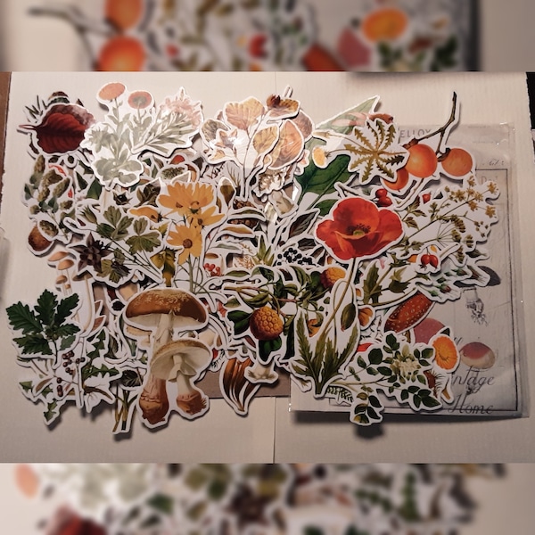 85PCS Vintage Flowers Stickers Pack Set B, Translucent Flowers Sticker ...