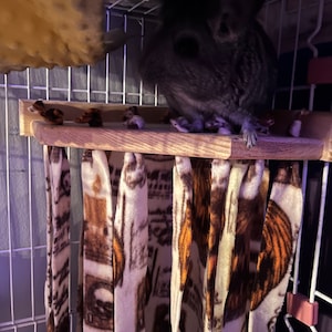 Chinchilla Hut Hideout House Free Standing House for Chinchilla Kiln ...