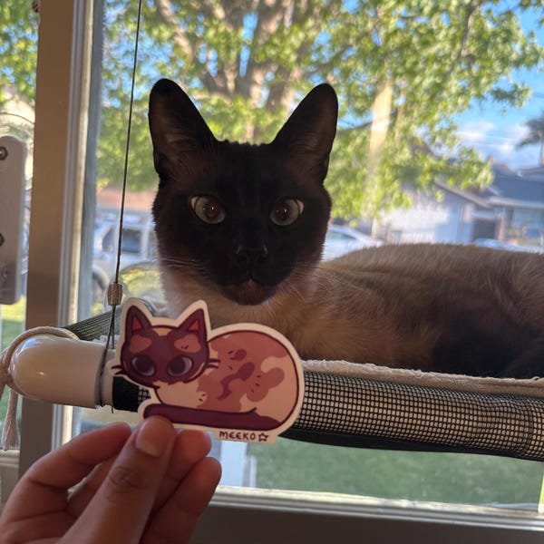 Personalized Cat Stickers - Hand Drawn | Custom Pet Stickers, Cat ...