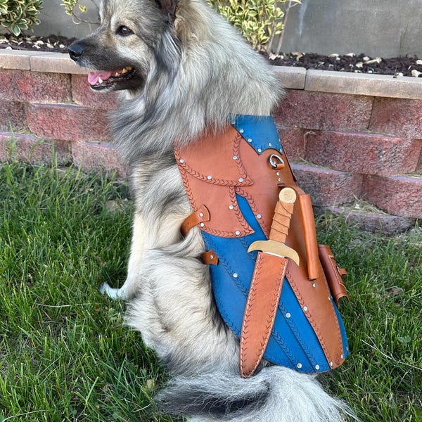 Heimdall Leather Dog Harness Armor - Etsy