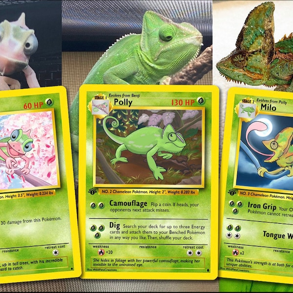 Evolution Set - 2 or 3 Pet Pokemon Cards - Etsy