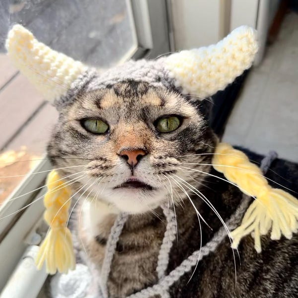 Brunhilde, Vikings, Valkyries, Wagner Opera, Hats for Cats, Pet Hats ...