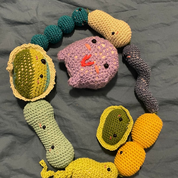 Bacteria Babies! 12 Crochet Patterns! PATTERN ONLY! PDF Download ...