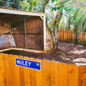 Polo Polo Sign Polo Fan Polo Participant Polo Gift Team | Etsy