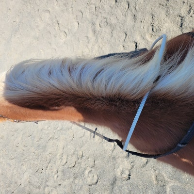 Lariat Liberty Horse Sliding Neck Ring Cordeo for Bridleless Riding ...