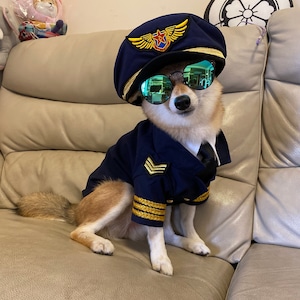 Custom Made Dog Cat Pet Pilot Captain Aviator Uniform Blazer Coat and ...