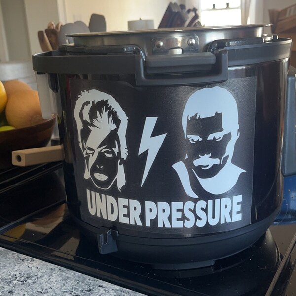 Crispy AF, Air Fryer Decals, TV Shows, Instant Pot Decals, Instant Pot ...