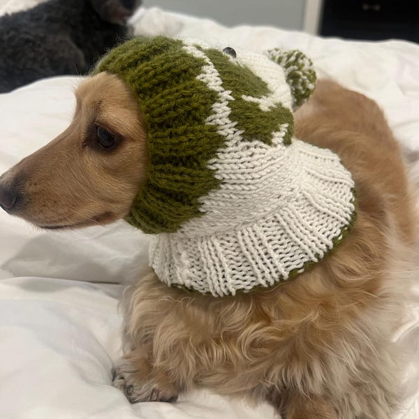 Pet Frog Costume Halloween Costume Frog Sweater and Hat Dachshund Frog ...