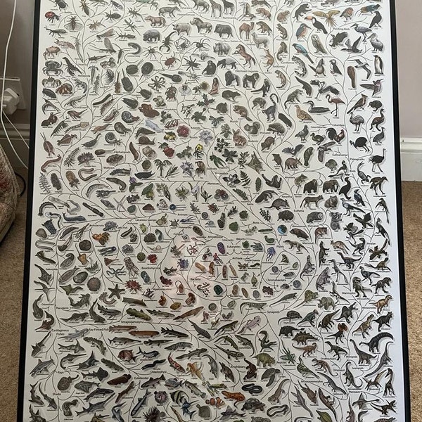 Evolutionary Biology Tree of Life Poster: Educational Nature Art - Etsy