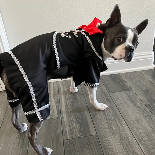 Mariachi Dog Costume/ Mariachi Outfit for Dogs/ Mexican Dog Costume ...