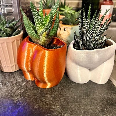 Butt Planter Booty Pot Woman Body Planters Nude Cheeky - Etsy