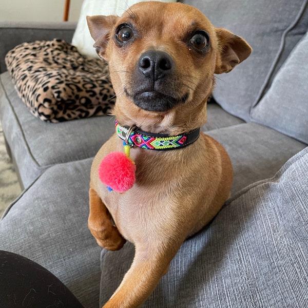 SMALL Mexican Pet Collar - Leather Dog Collar, Tribal Dog Dollar ...