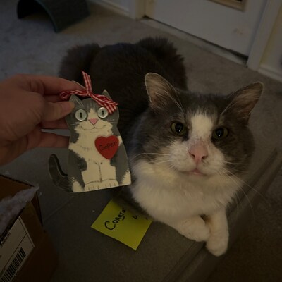 Mexican Snowman for Cinco De Mayo Feliz Navidad Christmas - Etsy