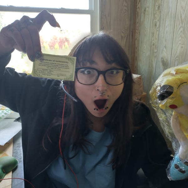 Sonichu and Rosechu COMBO -talking Plushes - Etsy