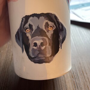 Pothos SVG File Digital Download for Cricut Silhouette Etc. - Etsy