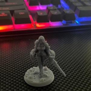 Human Female Fighter Mage leanne Resin Miniature the Royal Guard 28mm ...