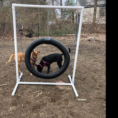 Dog Agility Tire Jump Made From Superior Grade PVC. AKC Regulation Size ...