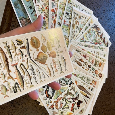 Natural Wonders Postcard Set2 Set of 20 Postcards Vintage Nature ...