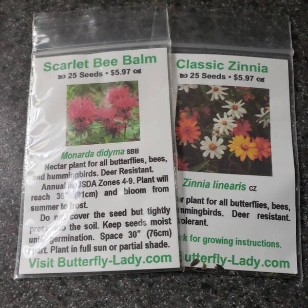 Hollyhock (alcea Rosea Indian Spring Mix) Packet of 25 Seeds With FREE ...