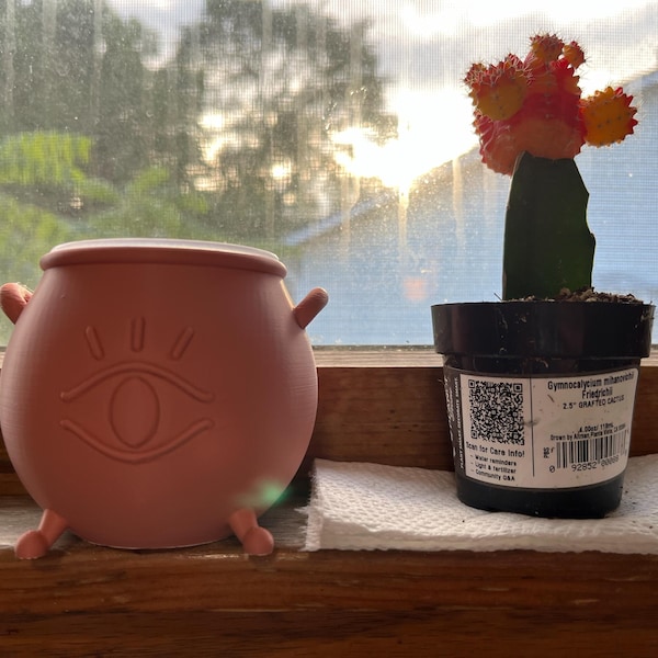 GANSAL Slat Planter Pot 4, 5, 6, 7 Wide Clear Pot With Drainage ...