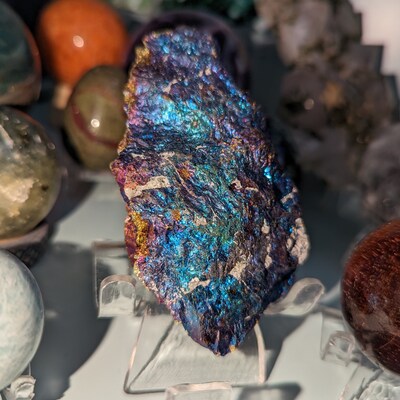 Agatized Turritella Shells - Etsy