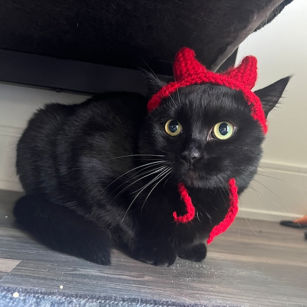 Devil Cat Hat, Devil Pet Costume, Devil Horns for Cats, Devil Costume ...