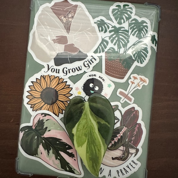 Music Player Aesthetic Sticker Sheet, Music Player Planner Icons, Now ...