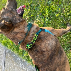 Belgian Malinois “malligator” | Malinios + Alligator | Die-cut Vinyl ...