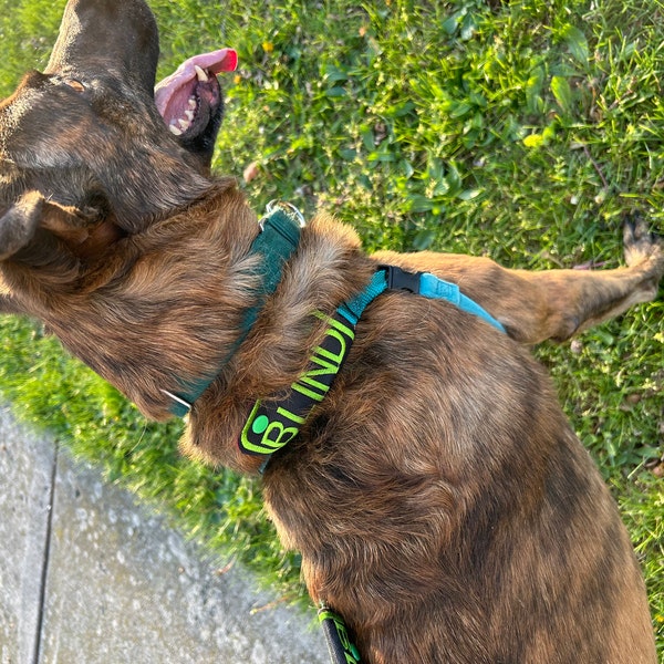 Belgian Malinois “malligator” | Malinios + Alligator | Die-cut Vinyl ...