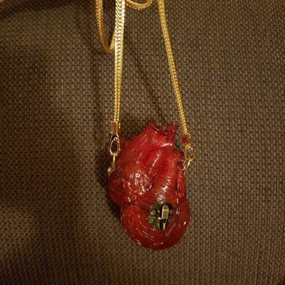 Realistic Heart-shaped Box 2 Styles Anatomical Heart - Etsy