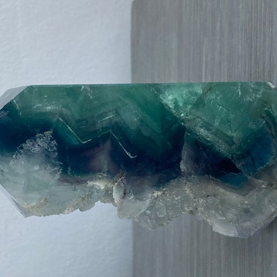 Picasso Jasper Palms A Grade - Etsy