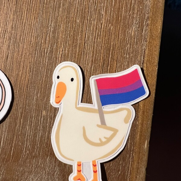 LGBTQ+ Ducks / Pride Stickers / Pride Flags - Etsy