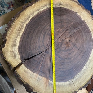 Eastern White Pine Live Edge Wood Slab 58 X 13-23 X 2 Thick, 83 - Etsy