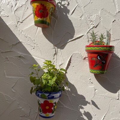 Spanish Glazed Terracotta Wall Planters 17 Cm X 14 Cm in a Wide Range ...
