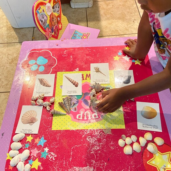 Kids Party Favor Craft Kit -donut Plaster Paint Kit! - Etsy