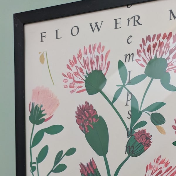 Vermont State Flower, Vermont Flower Market Art Print, Red Clover 1960 ...