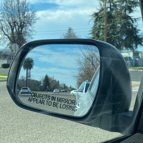 Skeleton Middle Finger Car Mirror Decal, Set or Left or Right, Funny ...