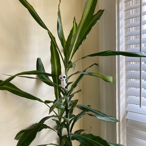 Science the Rat Statue From Adventure Time Fan Art - Etsy