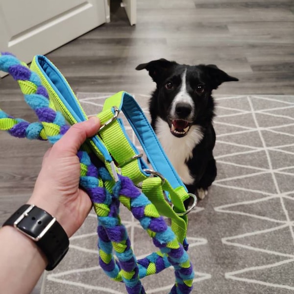 Braided Fleece Leash 3-in-1 – Perfect for Agility Starts - Etsy