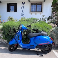 Decal Sticker Tiger Footprint Paw W9932 - Etsy UK