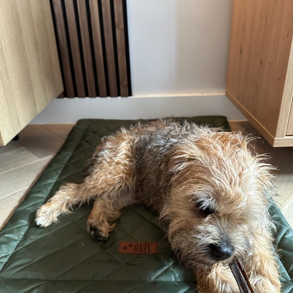 Dog Mat, Dog Settle Mat, Snack Mat, Picnic Mat, Easy to Clean Mat, Licking Mat, Crate Mat ...