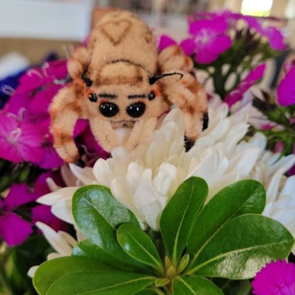 Needle Felted Jumping Spider Toy, Poseable Arachnid Sculpture - Etsy
