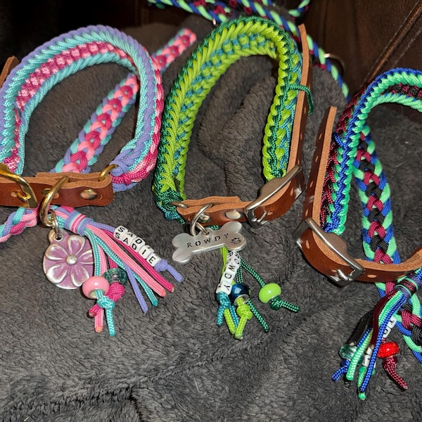 Custom Horse Tack With Name Tag, Personalized Lead Rope for Pets, With ...