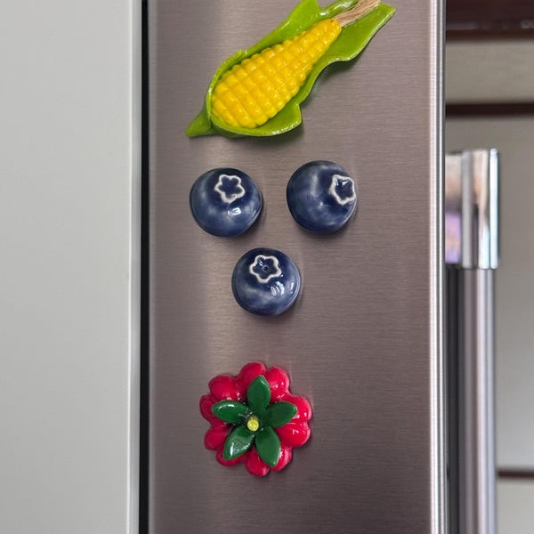 Colorful Hand Carved Ceramic Refrigerator Magnet - Etsy