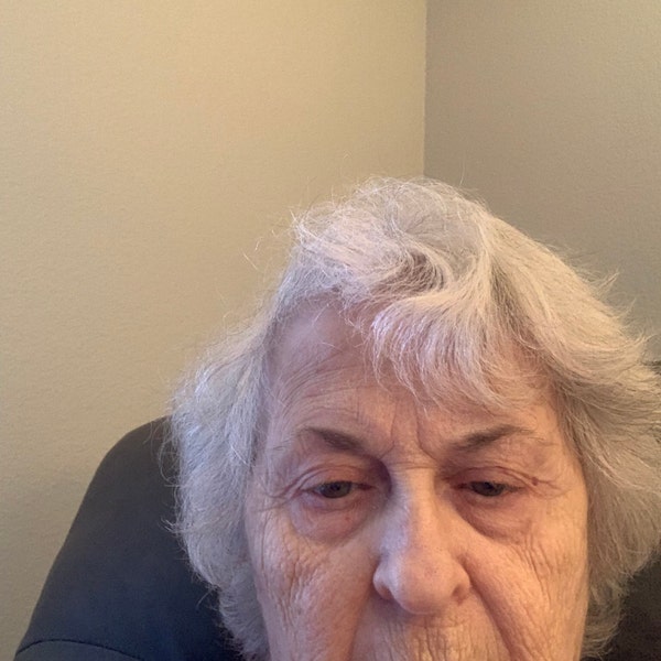 Salal Berry / Gaultheria Shallon (30+ Seeds) - Etsy